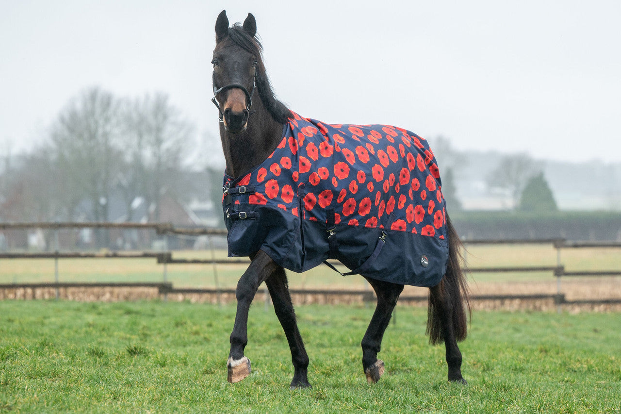 HKM Poppy Turnout Blanket – Sun Valley Saddlery